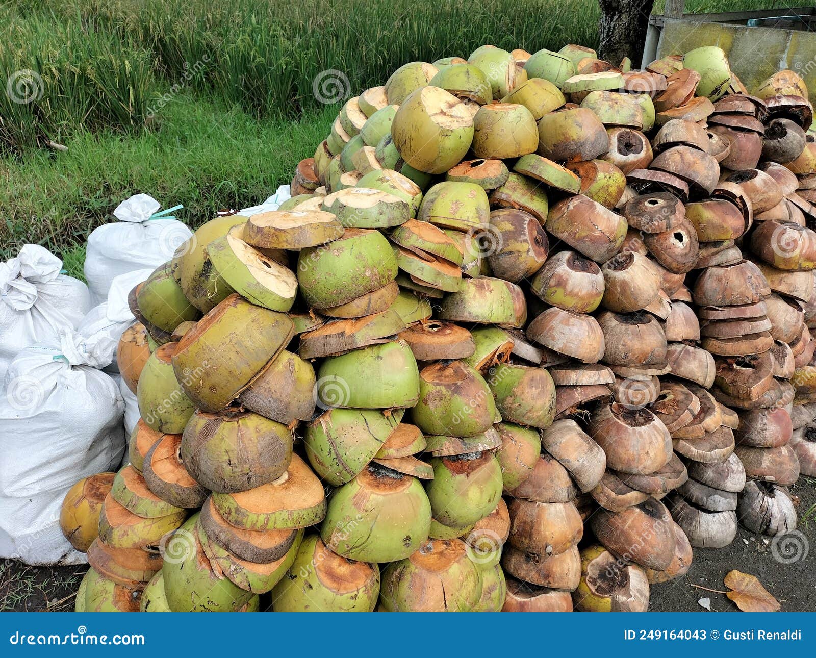 Pile of Coconut Shells in Street Food Stall Stock Image - Image of ...
