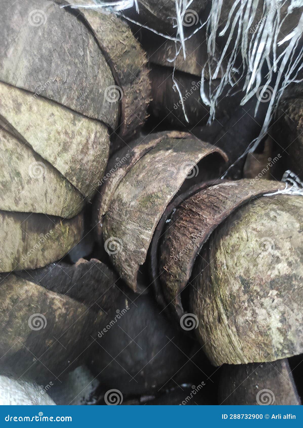 Pile of Coconut Shells Wet with Rain Stock Photo - Image of coconut ...