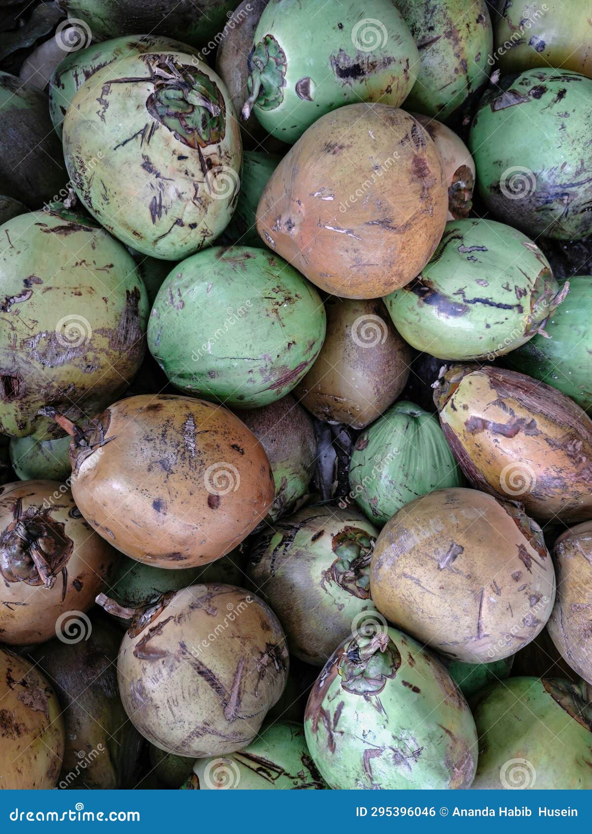 Pile of Coconut Waste Taken Close Up in a Vertical Position Stock Photo ...