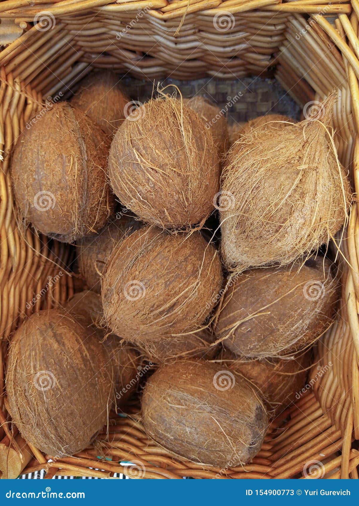Pile of Coconuts in the Food Market Stock Image - Image of coconut ...