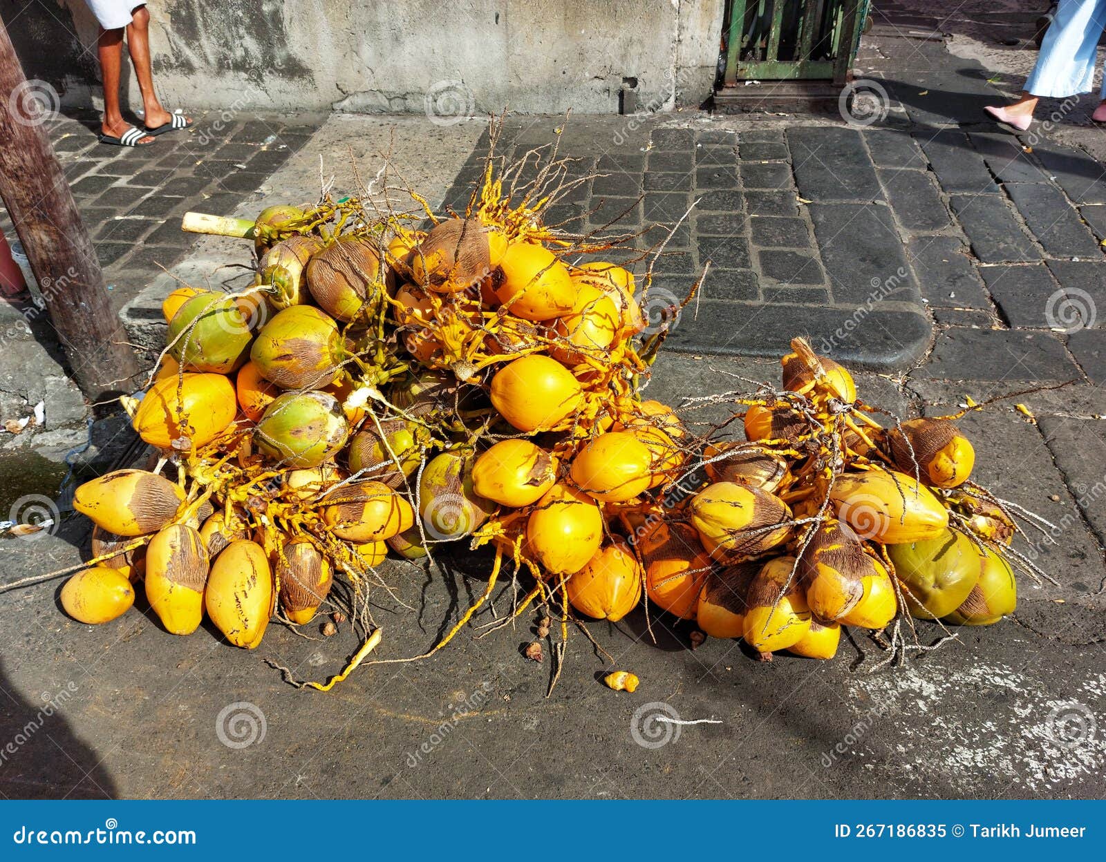 Pile of Coconuts Layers on the Ground on Pavement in Port-Louis ...