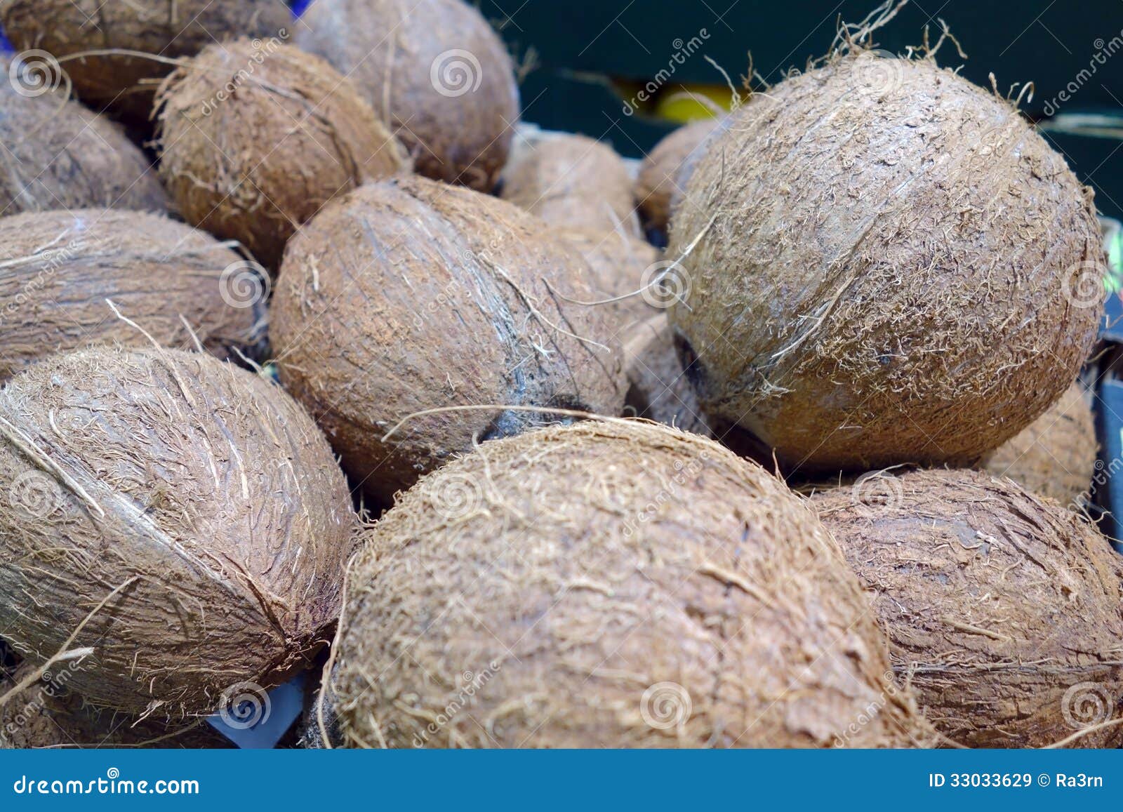 Pile of coconuts stock image. Image of heap, eating, food - 33033629