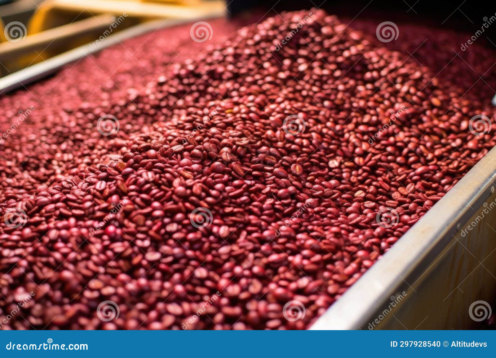A Pile of Coffee Beans after De-pulping Process Stock Photo - Image of ...