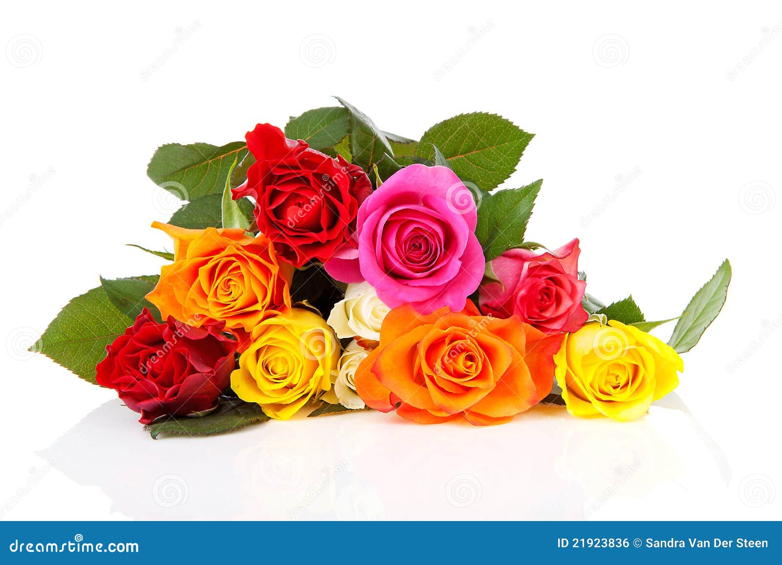 Pile of colorful roses stock photo. Image of thorns, petals - 21923836
