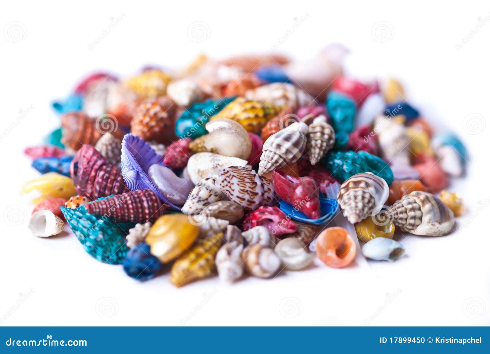 Pile of colorful seashells stock photo. Image of color - 17899450