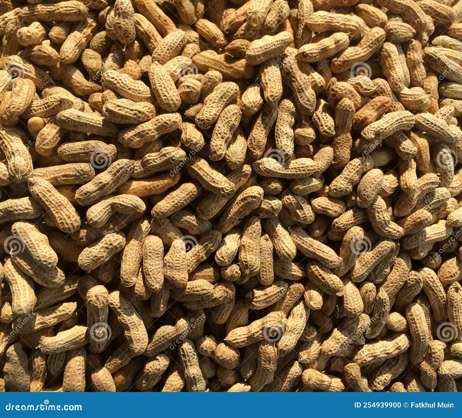 Pile of Cooked Steamed Peanuts Stock Photo - Image of boiled, cooking ...