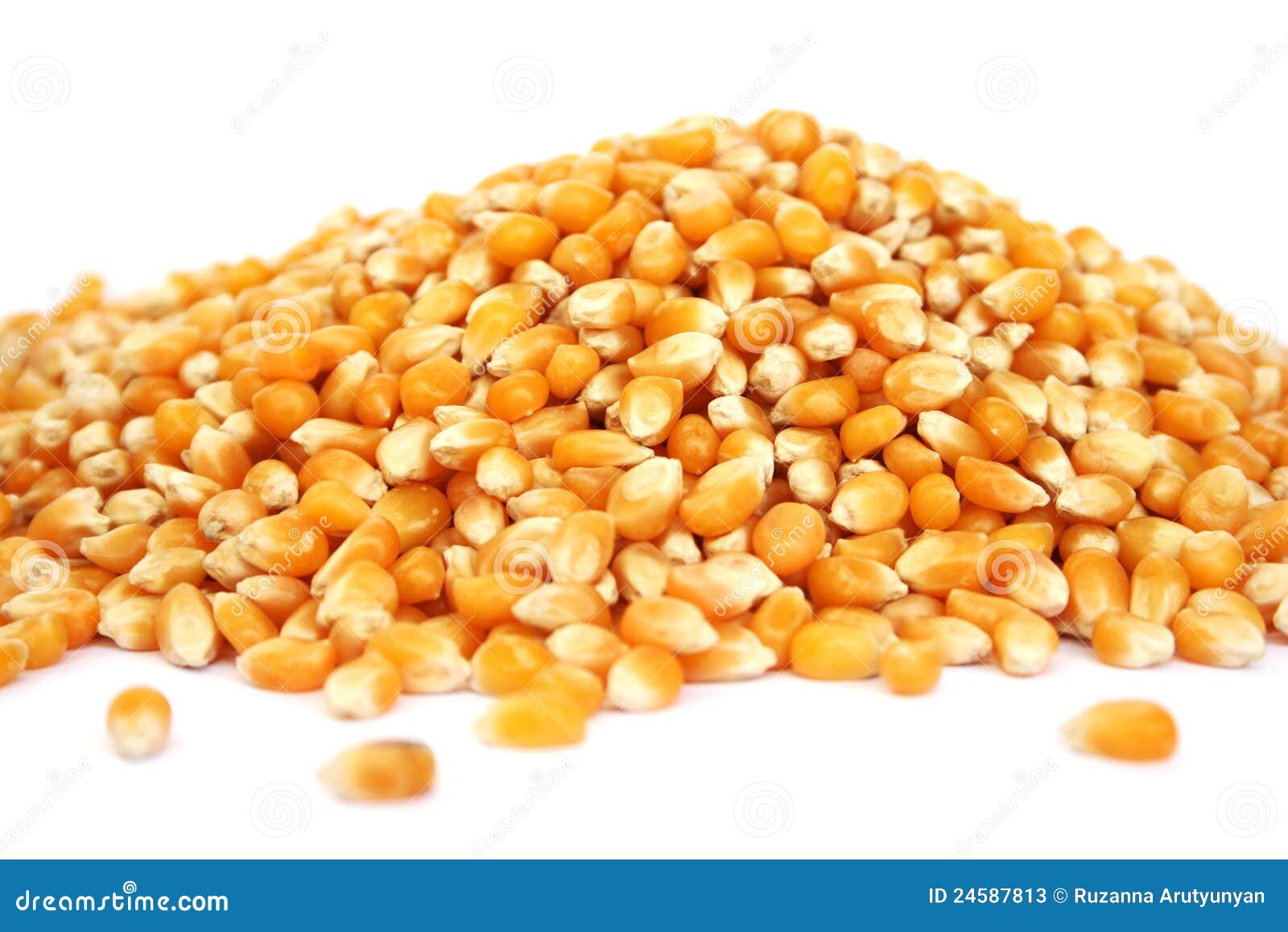 Pile of corn stock image. Image of health, healthy, popcorn - 24587813