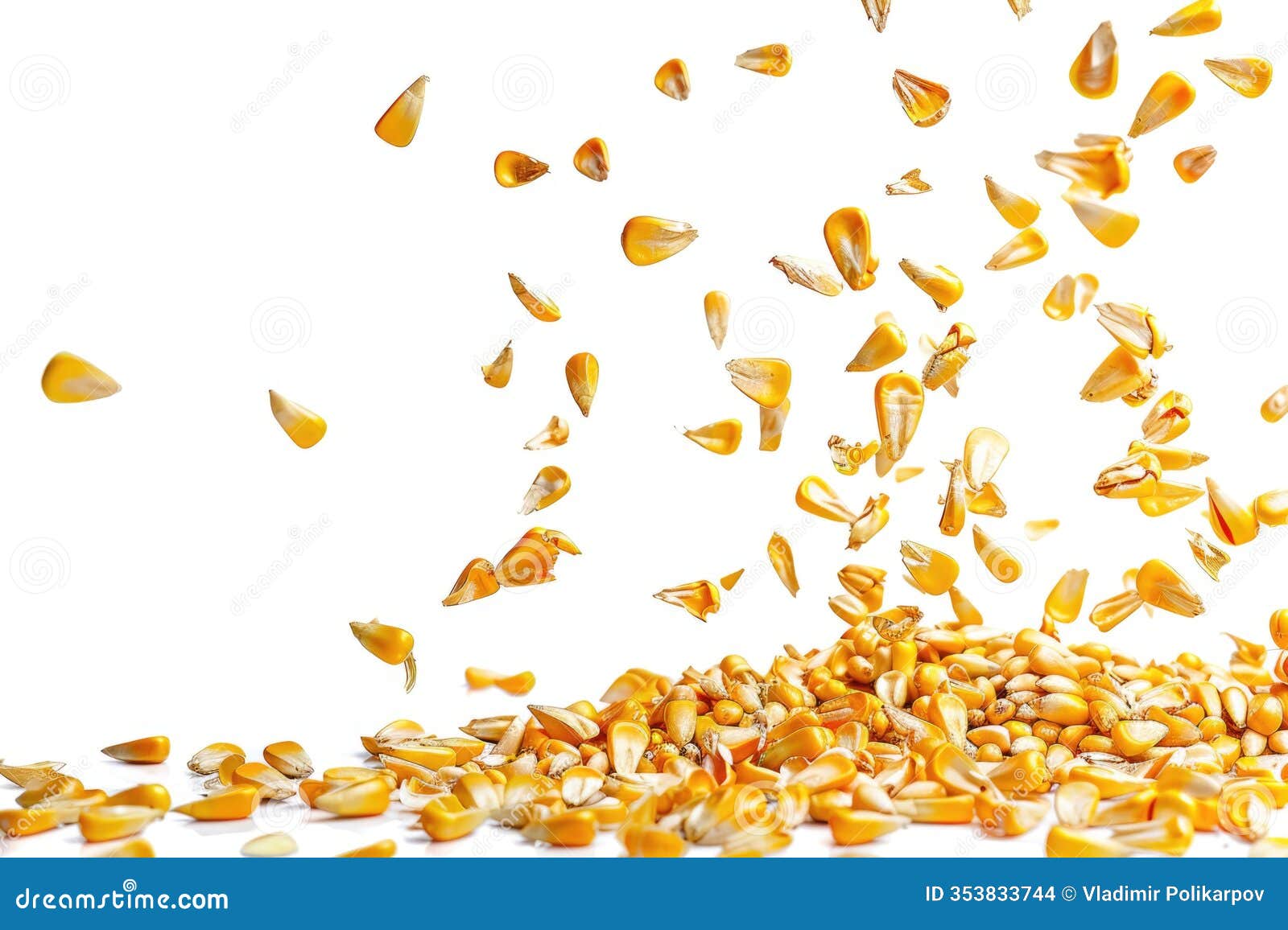 A Pile of Corn Falling into the Air. Suitable for Agricultural Concepts ...