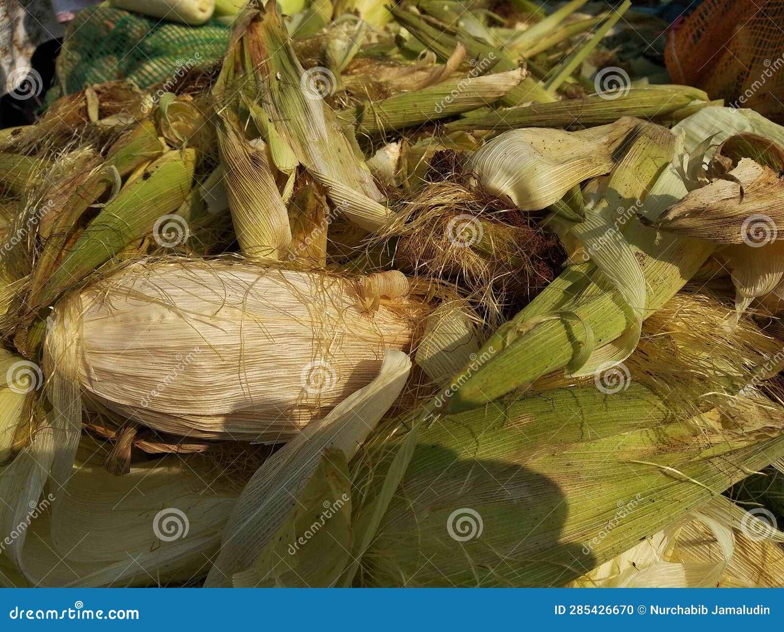 Pile of corn husk waste stock photo. Image of growth - 285426670