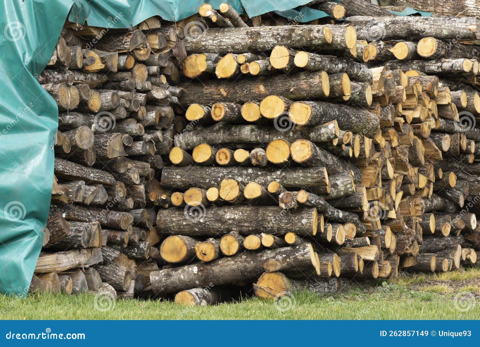 Pile of Cut Firewood Under a Tarp Stock Image - Image of development ...