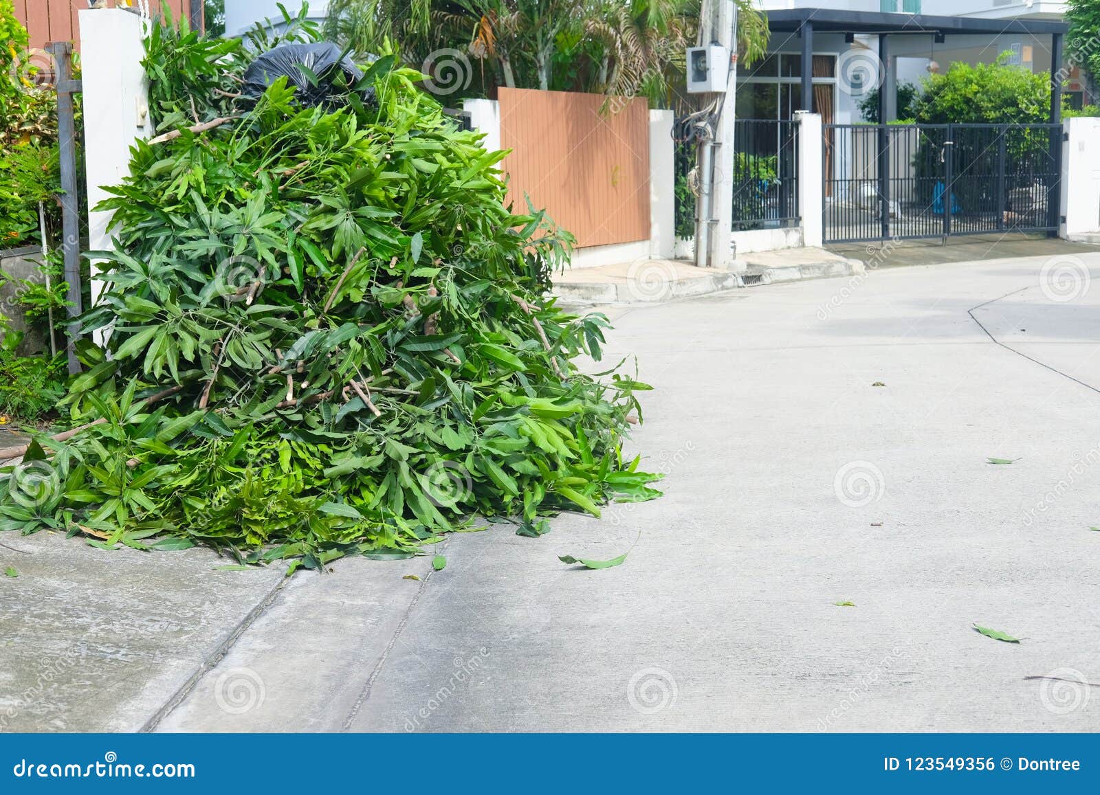 Pile of cut tree branches stock photo. Image of recycle - 123549356
