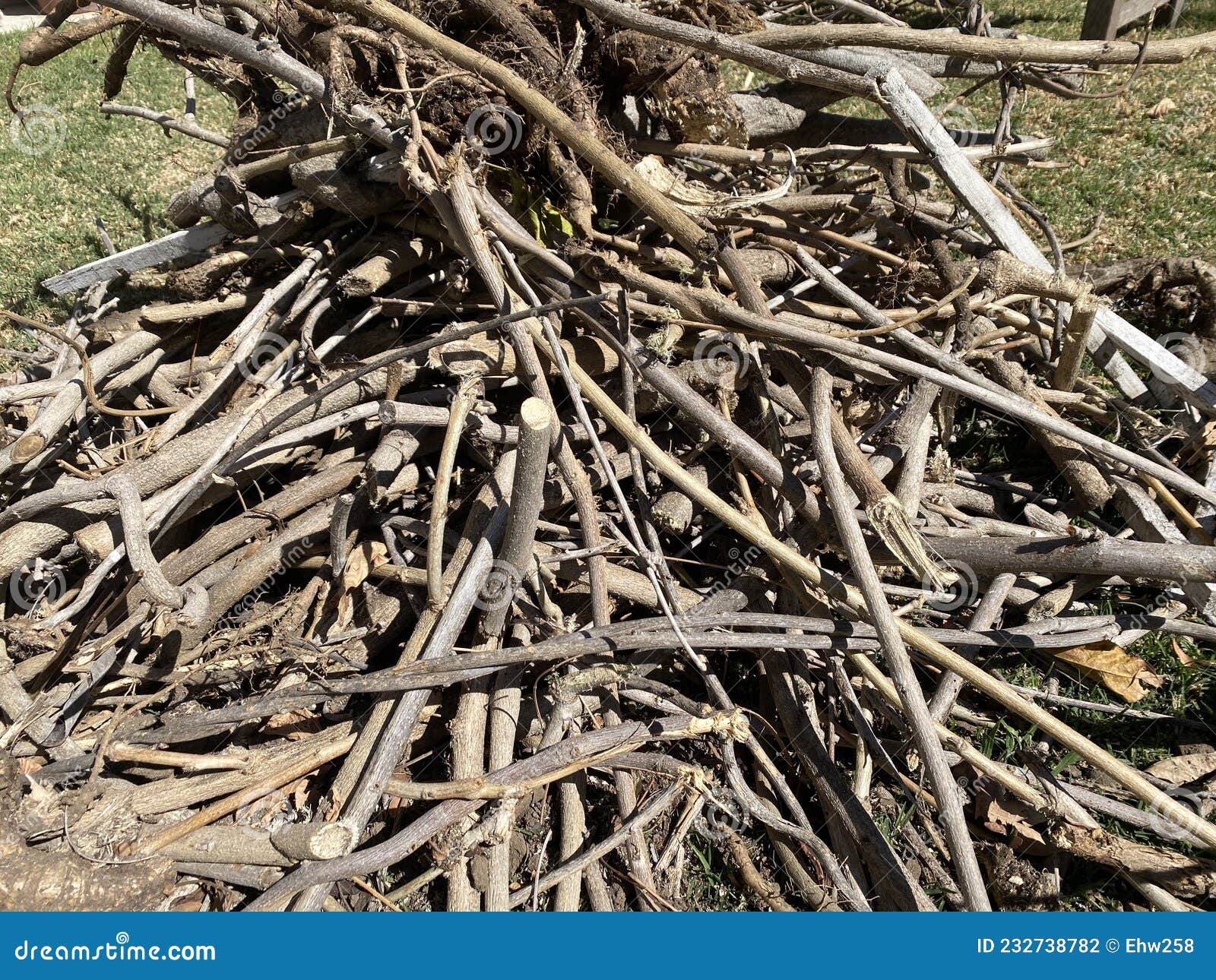 Pile of Cut Up Wood Sticks Trees Twigs Roots Stock Photo - Image of ... Pile of Cut Up Wood Sticks Trees Twigs Roots Stock Photo - Image of ...
