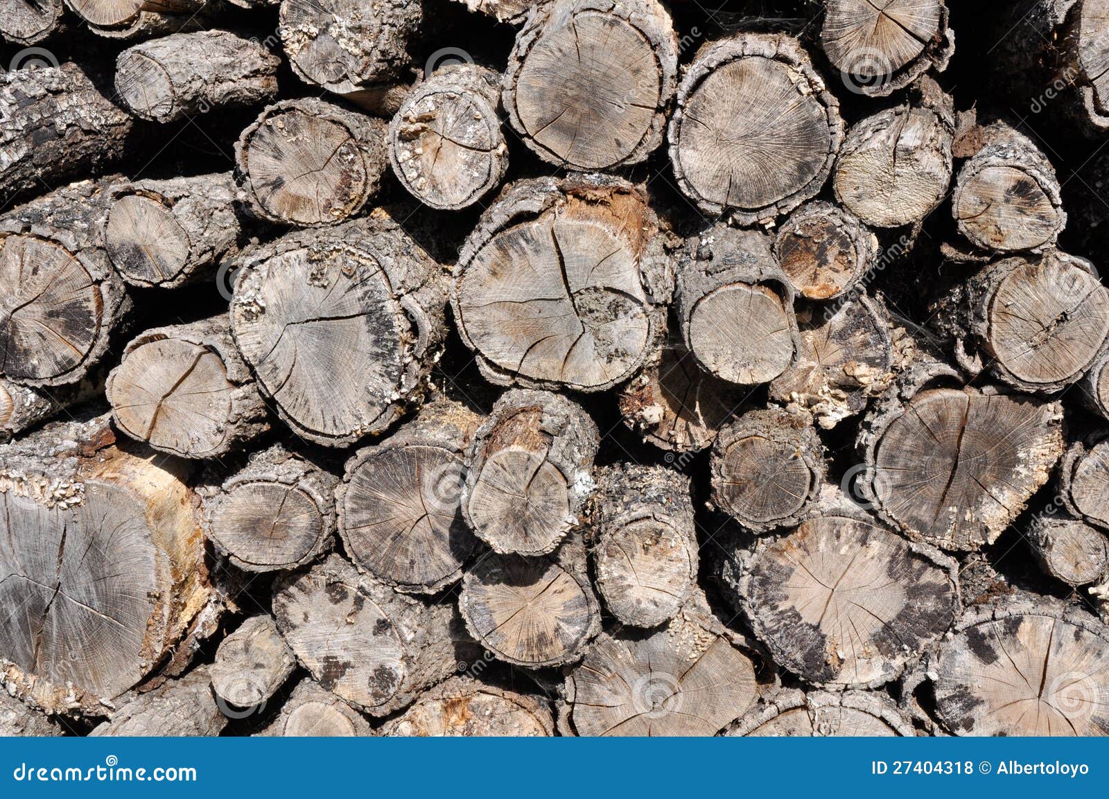 A pile of cut wood stock photo. Image of outdoors, block - 27404318
