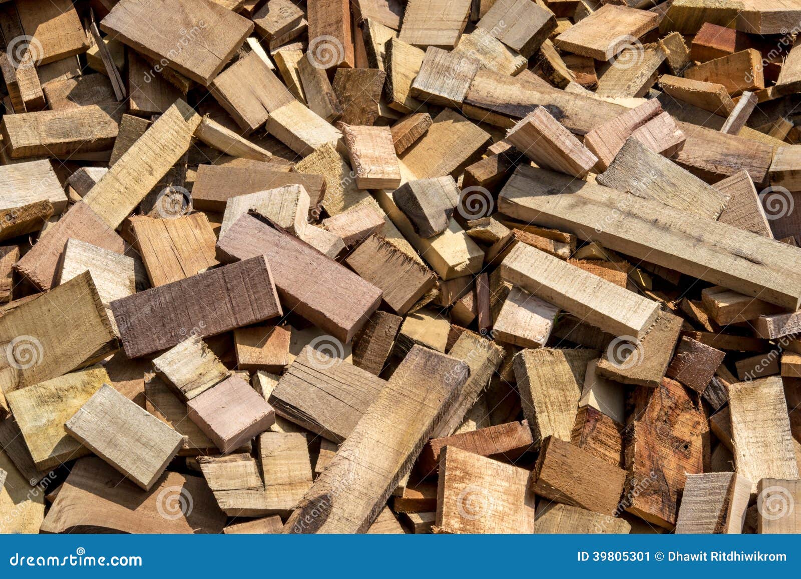 Pile of Cut Wood from the Forest Stock Image - Image of nature, texture ...