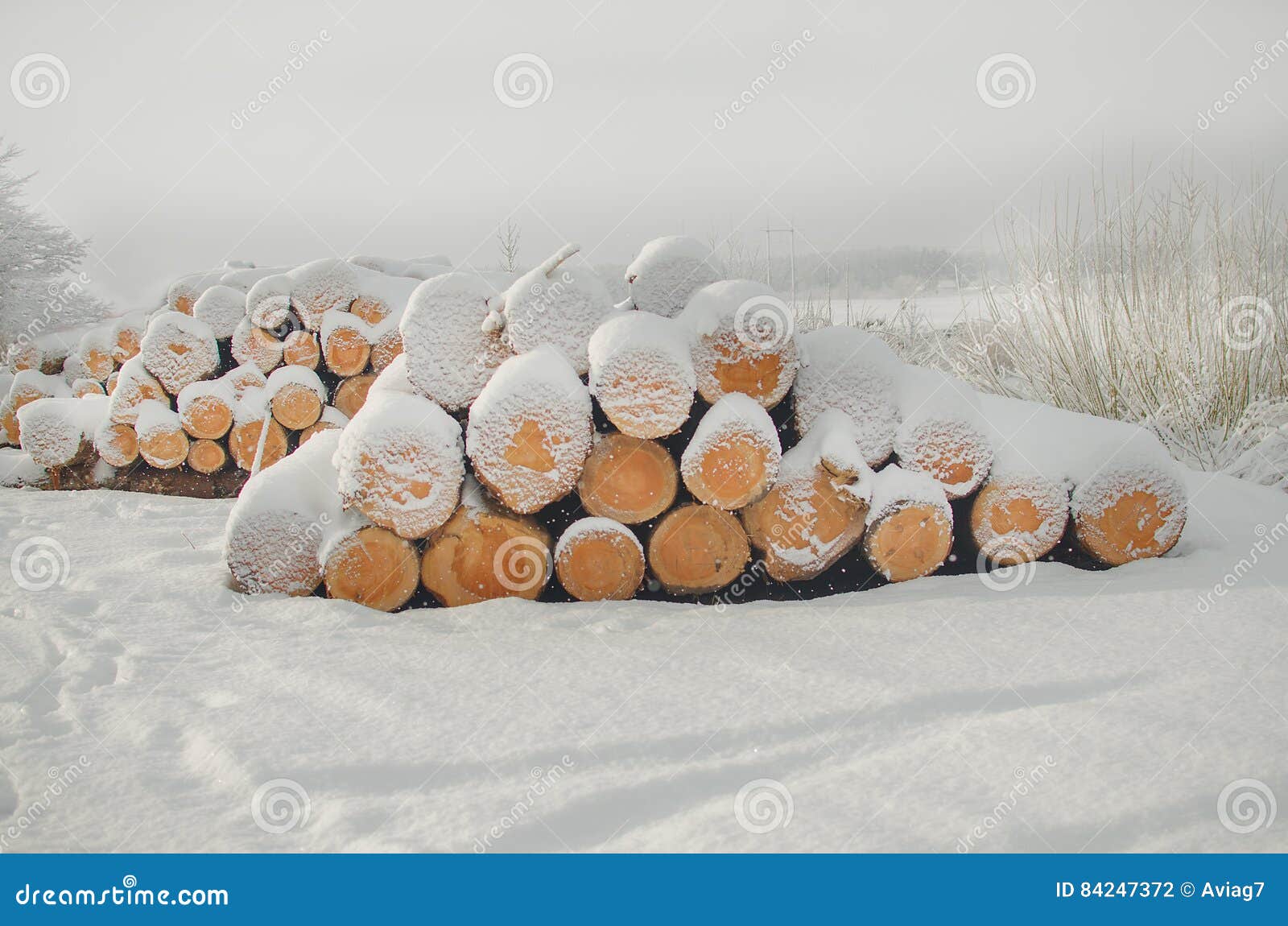 Pile of Cut Wood Logs Under Winter Snow Stock Photo - Image of ...