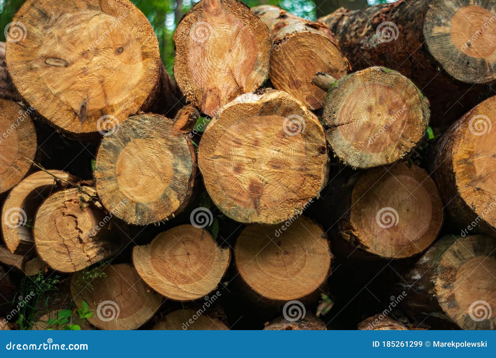Pile of cut wood stock image. Image of energy, environment - 185261299