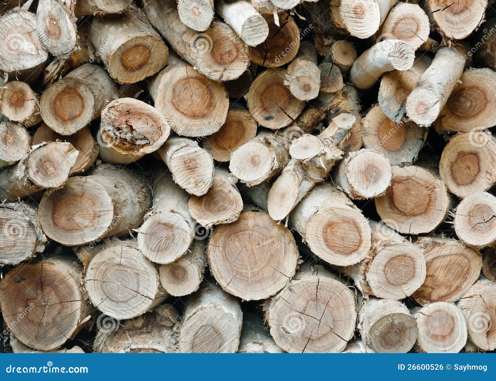 A pile of cut wood stump stock photo. Image of piled - 26600526