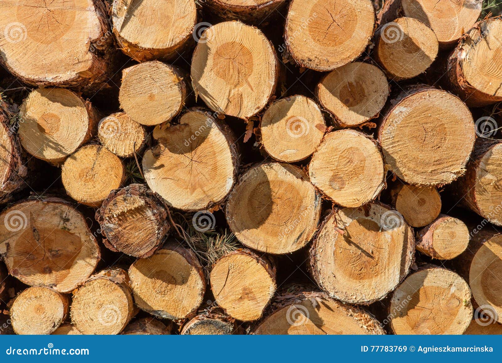 A Pile of Cut Wood Stump Log Texture Stock Image - Image of background ...
