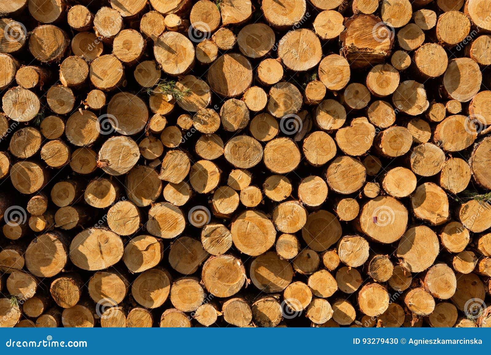 A Pile of Cut Wood Stump Log Texture Stock Photo - Image of woodpile ...