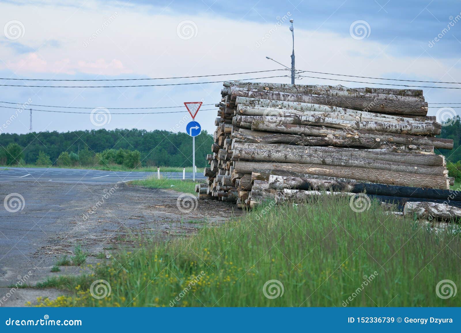 Pile of Cut Wooden Logs Lying on the Roadside in Russia Stock Image ...