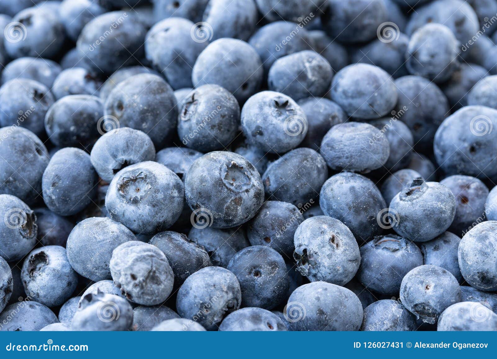 Pile of Dark Blue Blueberries Stock Image - Image of berry, delicious ...