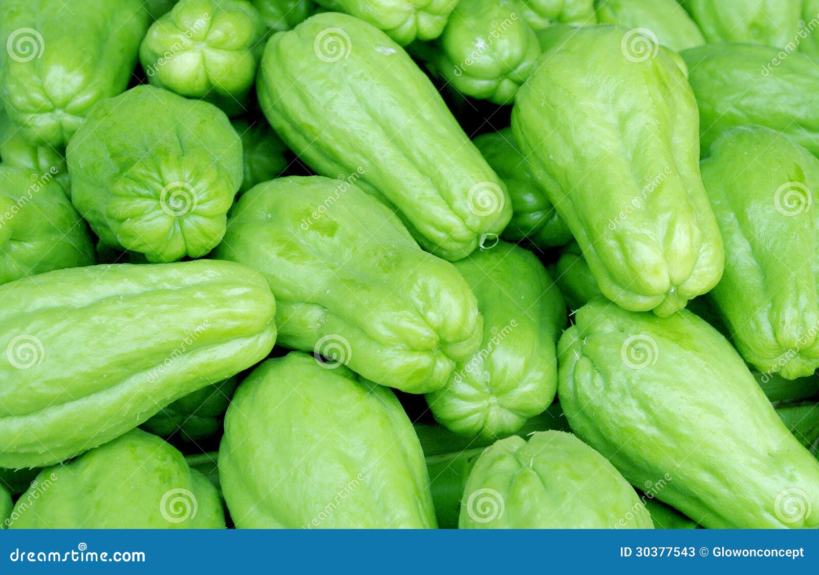 Pile De Courge Asiatique Verte Image stock - Image du asiatique, remuez ...
