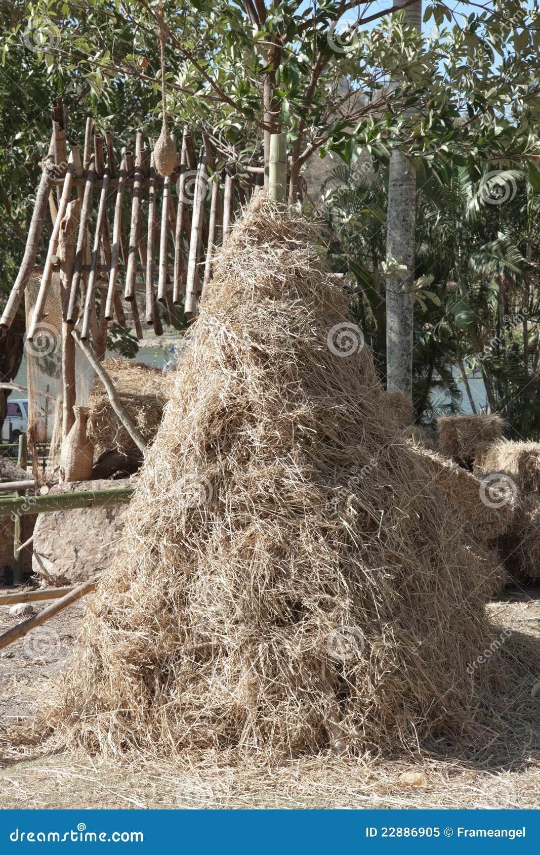 Pile De Paille De Riz Comme Triangle Image stock - Image du automne ...