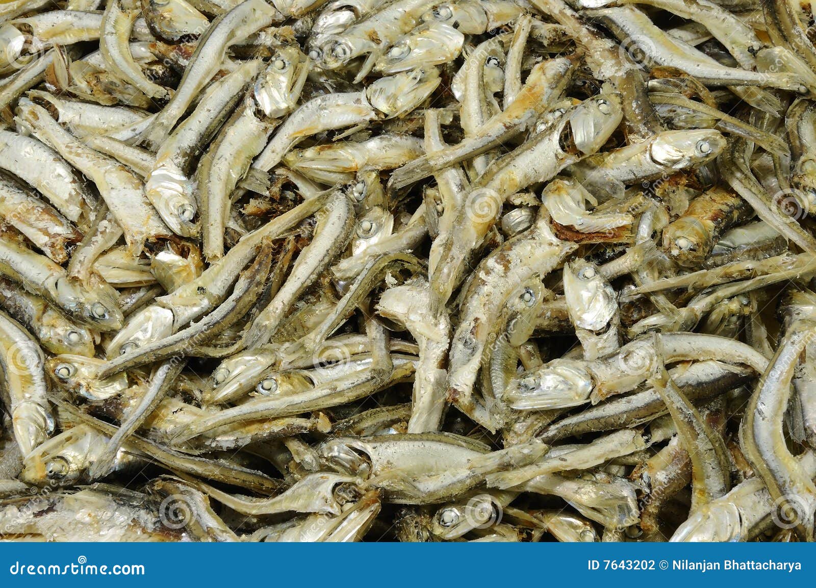 Pile de poissons d'anchois photo stock. Image du anchois - 7643202