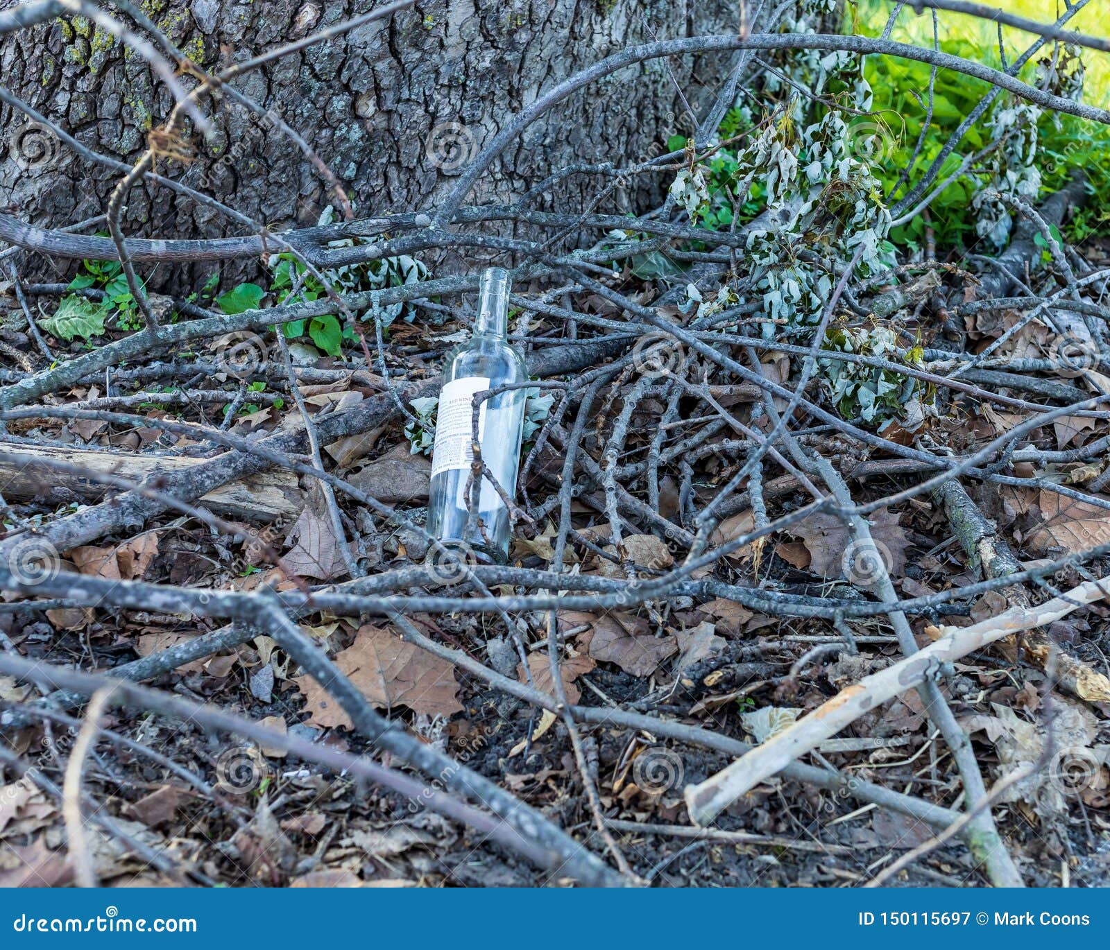 Pile of Debris and Trash in a City Park Stock Image - Image of clean ...