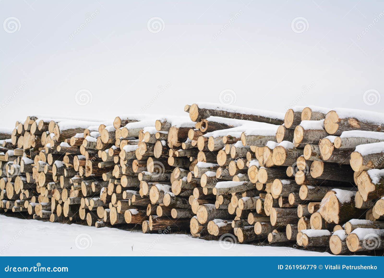 Logs of trees for sale stock image. Image of mountain - 261956779