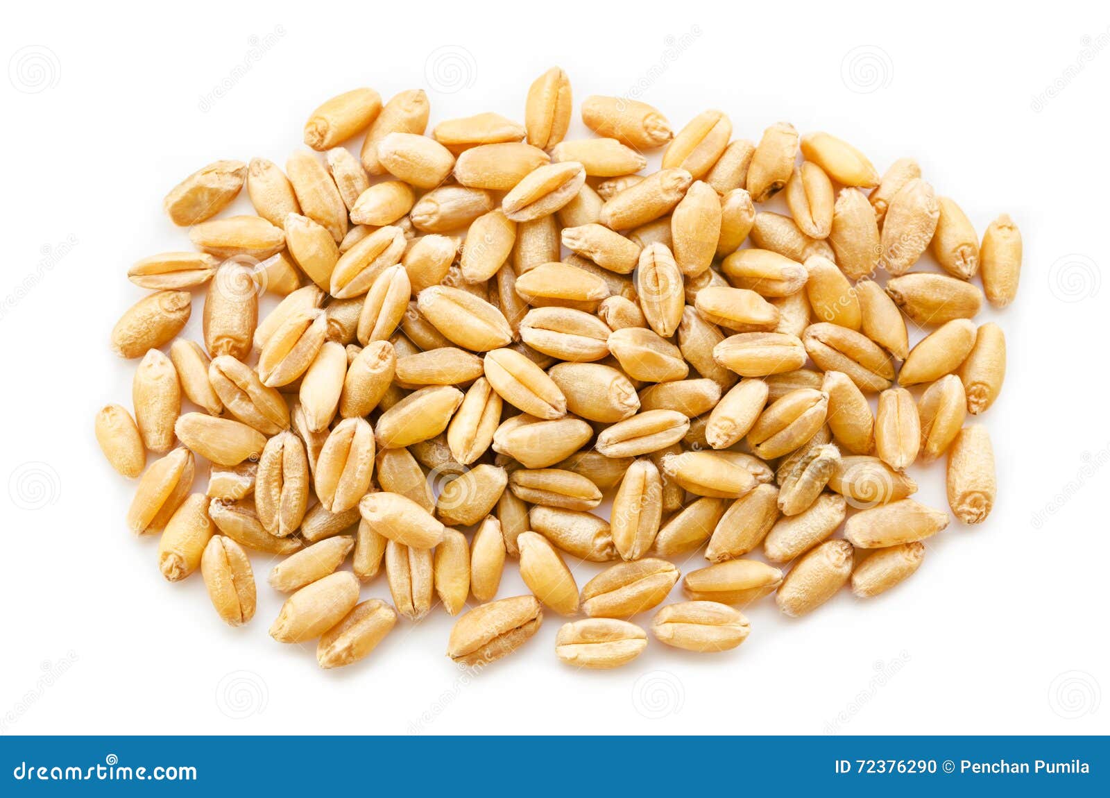 Pile des grains de froment photo stock. Image du grain - 72376290