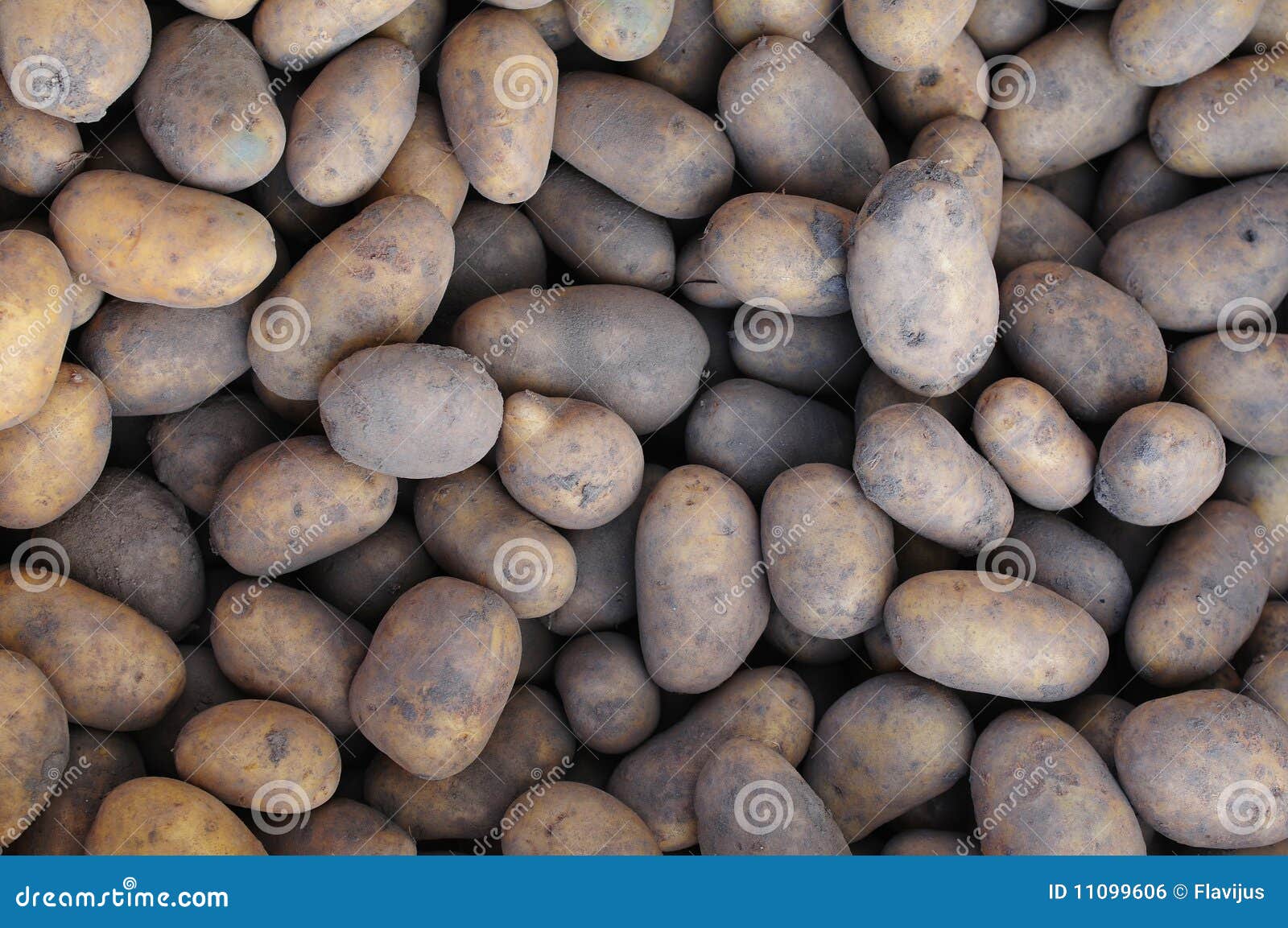 Pile des pommes de terre photo stock. Image du patate - 11099606