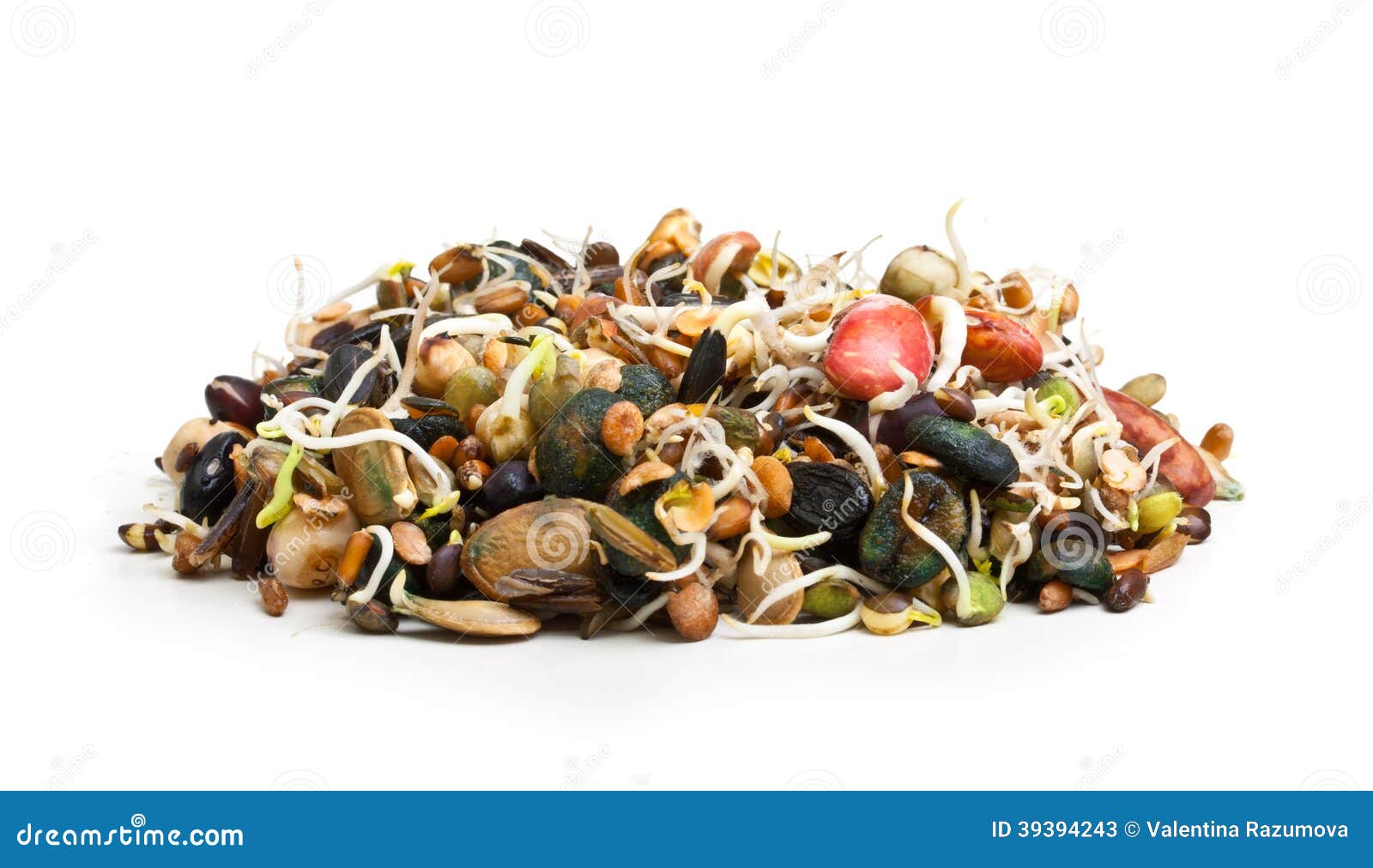 Pile of Different Seeds Growing Stock Image - Image of nurturing ...