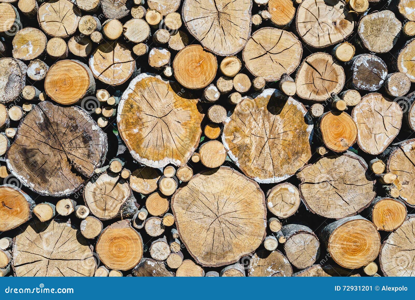 Pile of Different Wood Logs Stock Image - Image of bark, heap: 72931201