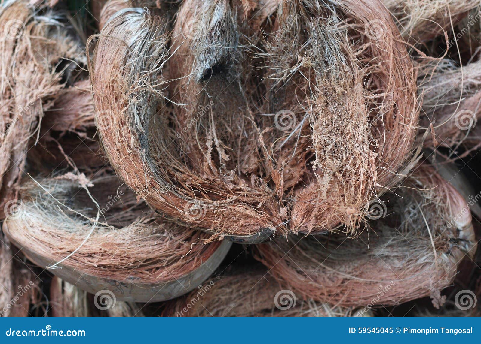 Pile of Discarded Coconut Husk Stock Image - Image of agriculture ...