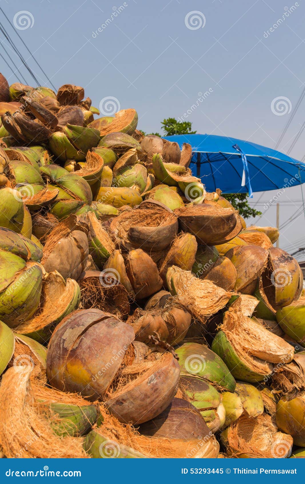 Pile of Discarded Coconut Husk Stock Image - Image of asia, plant: 53293445