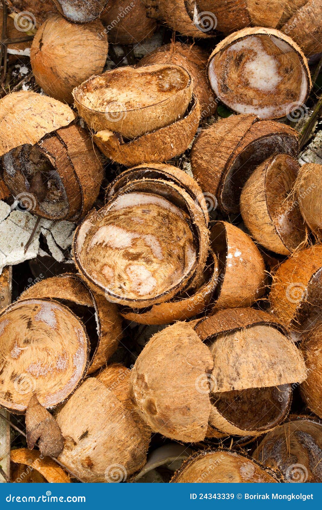 Pile of Discarded Coconut Husks Stock Image - Image of nature ...