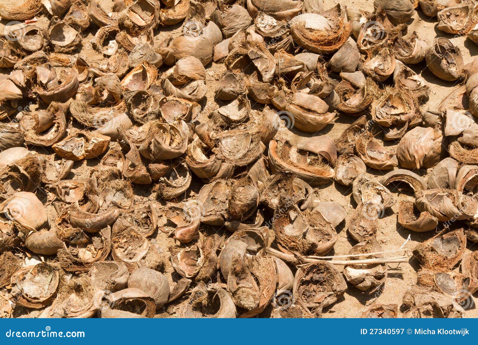 Pile of Discarded Coconut Husks Stock Image - Image of discard, coconut ...