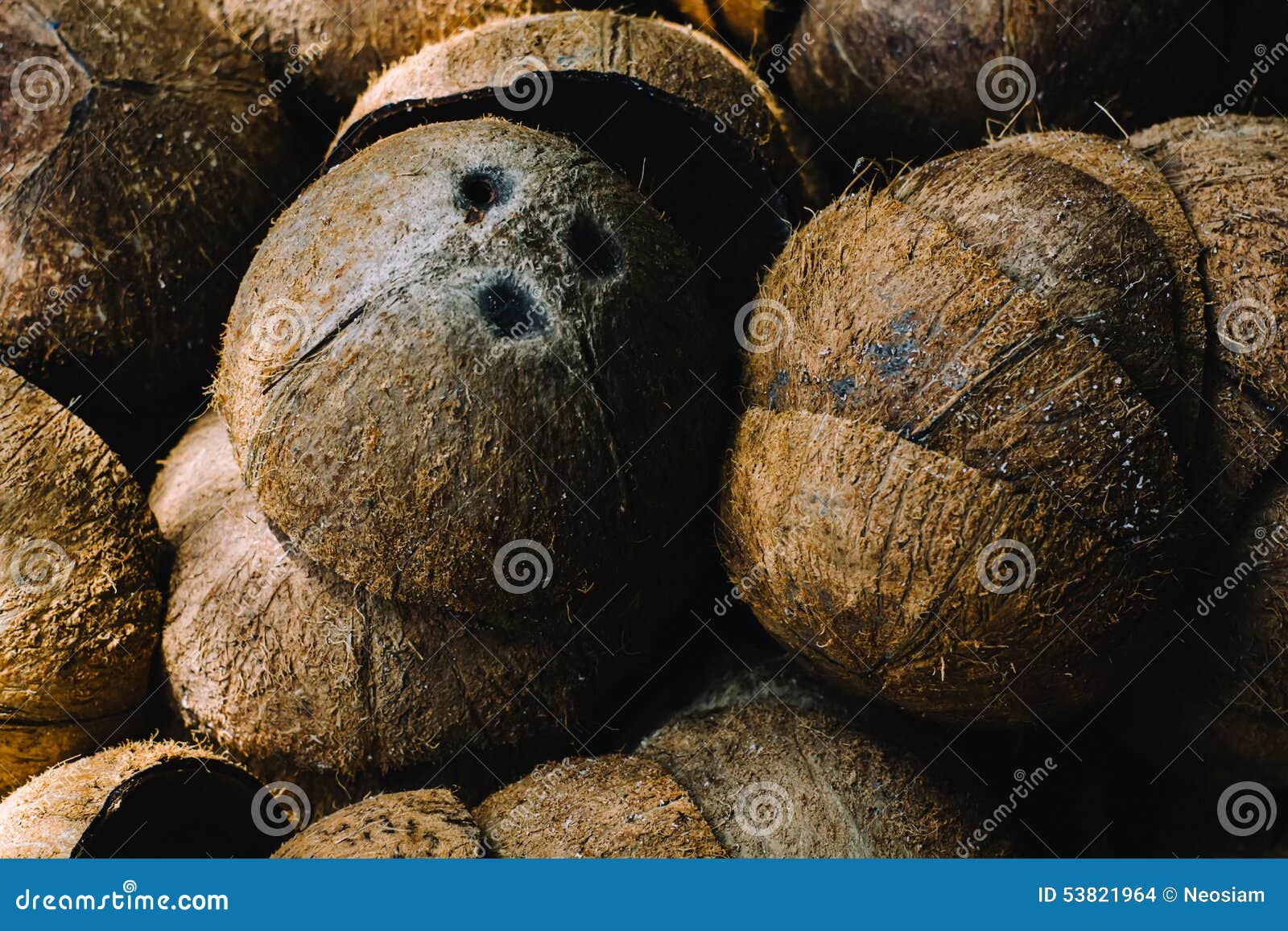 Pile of Discarded Coconut Husks Stock Photo - Image of garbage, heap ...