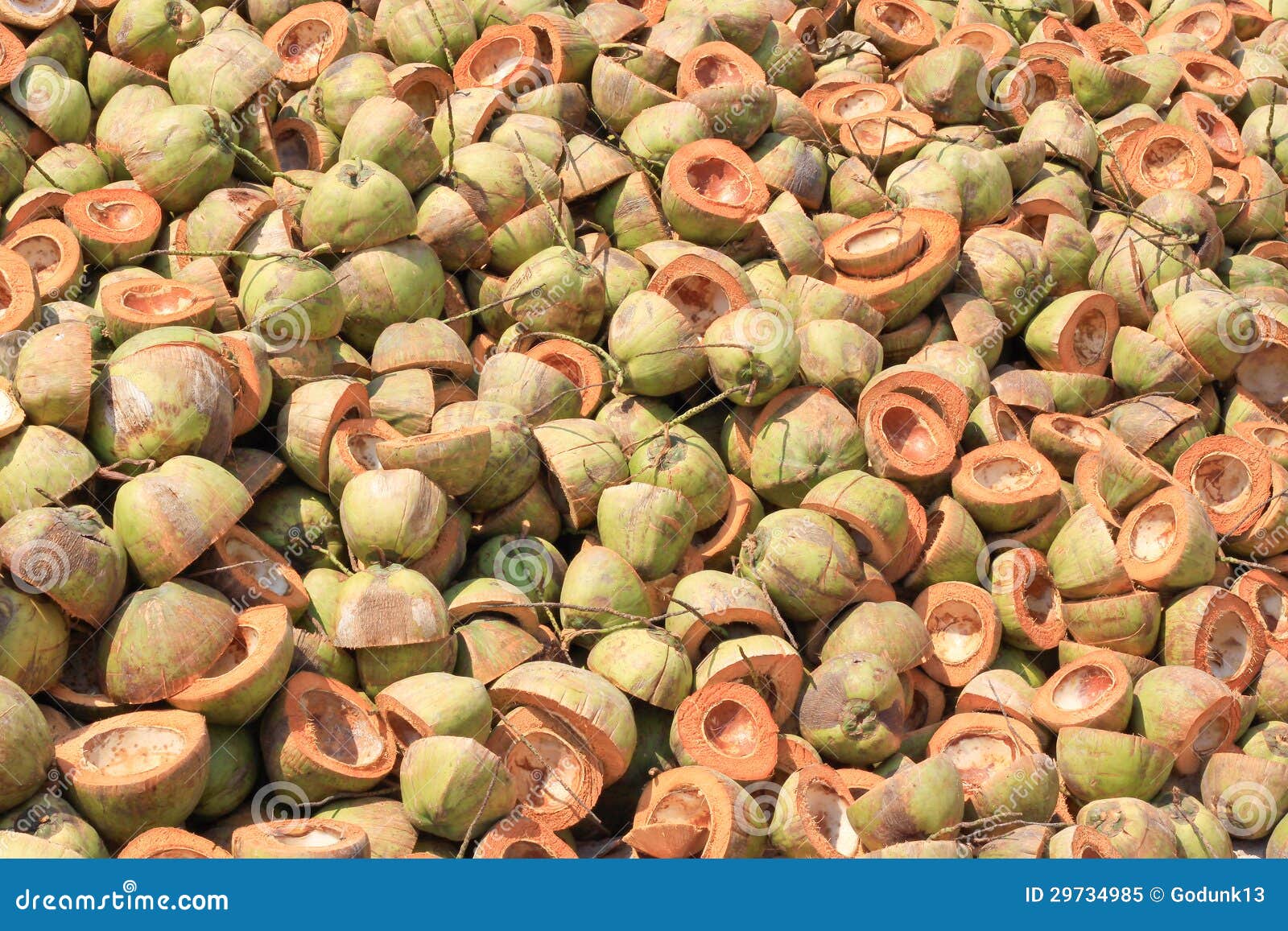 Pile of Discarded Coconut Husks Stock Image - Image of trash, husk ...