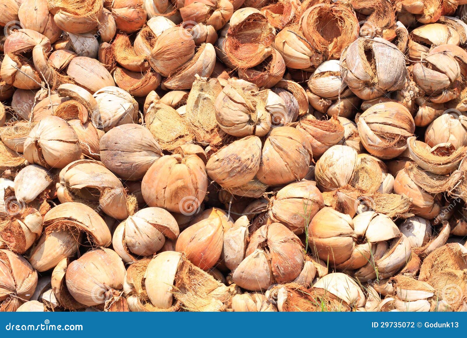 Pile of Discarded Coconut Husks Stock Photo - Image of discard, hollow ...