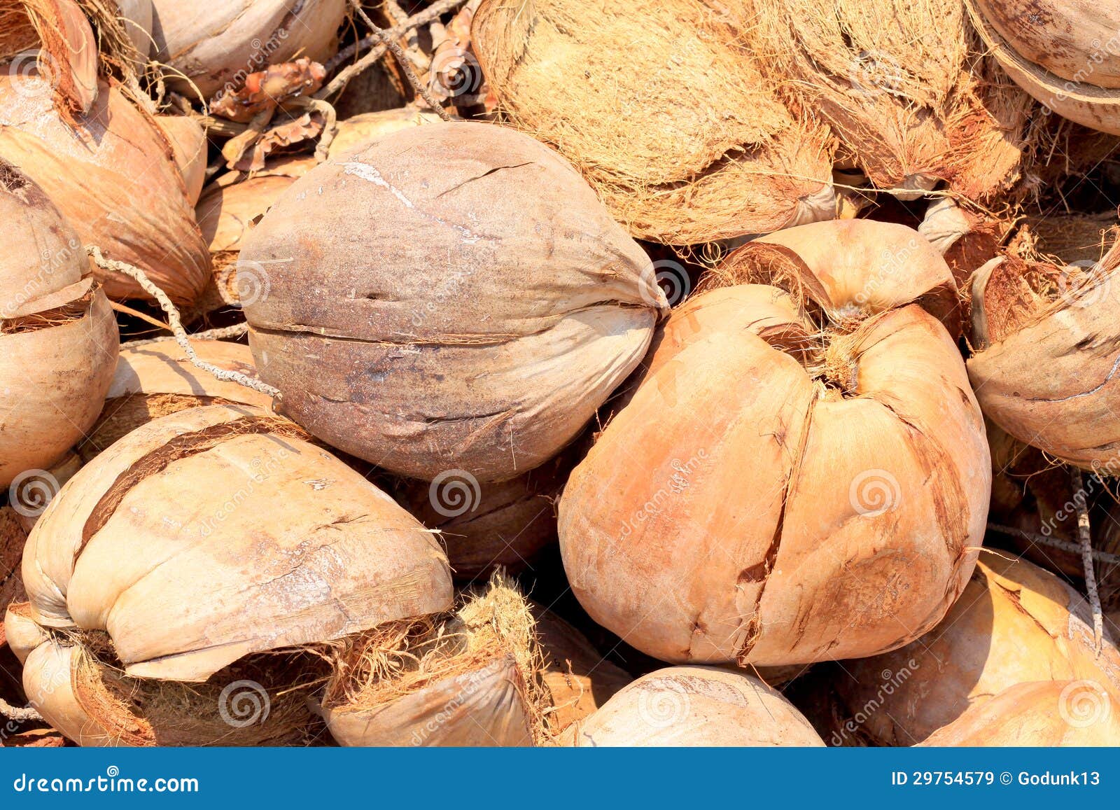 Pile of Discarded Coconut Husks Stock Image - Image of husks, discard ...