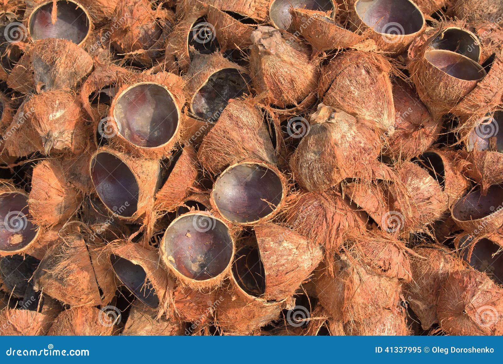 Pile of Discarded Coconut Husks, Thailand Stock Image - Image of heap ...