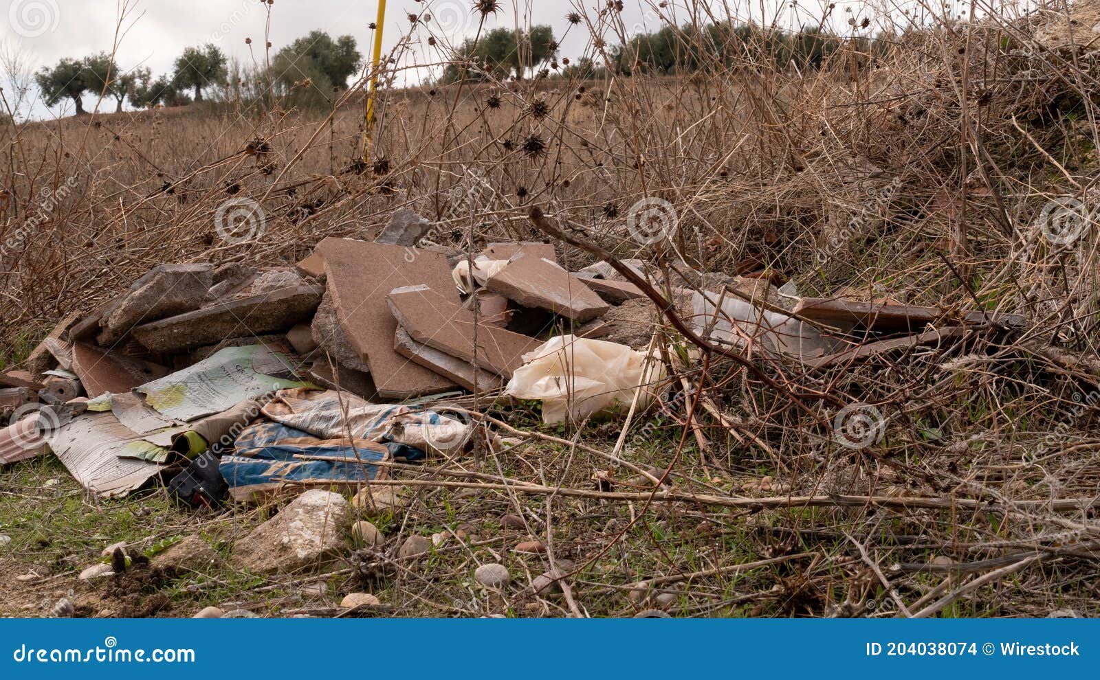Pile of Discarded Trash and Branches at a Field Stock Photo - Image of ...