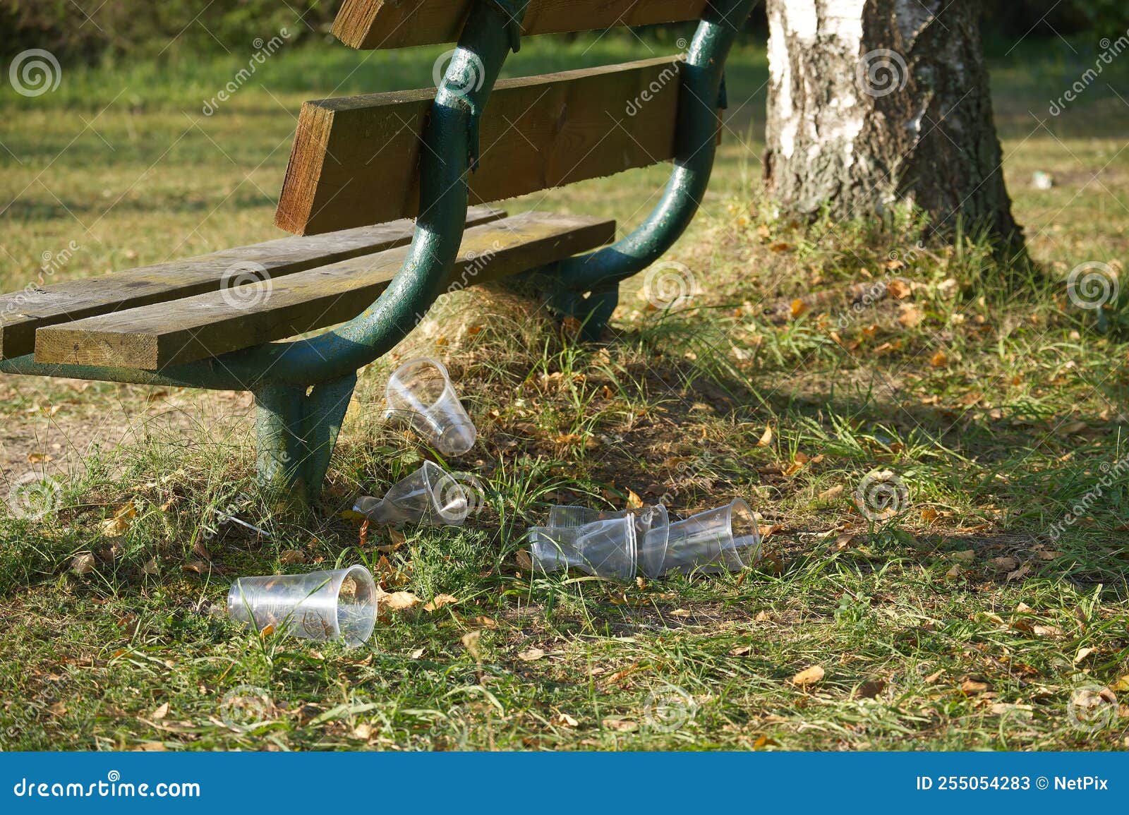 Pile of Disposable Cups Alongside a Wooden Bench Stock Image - Image of ...