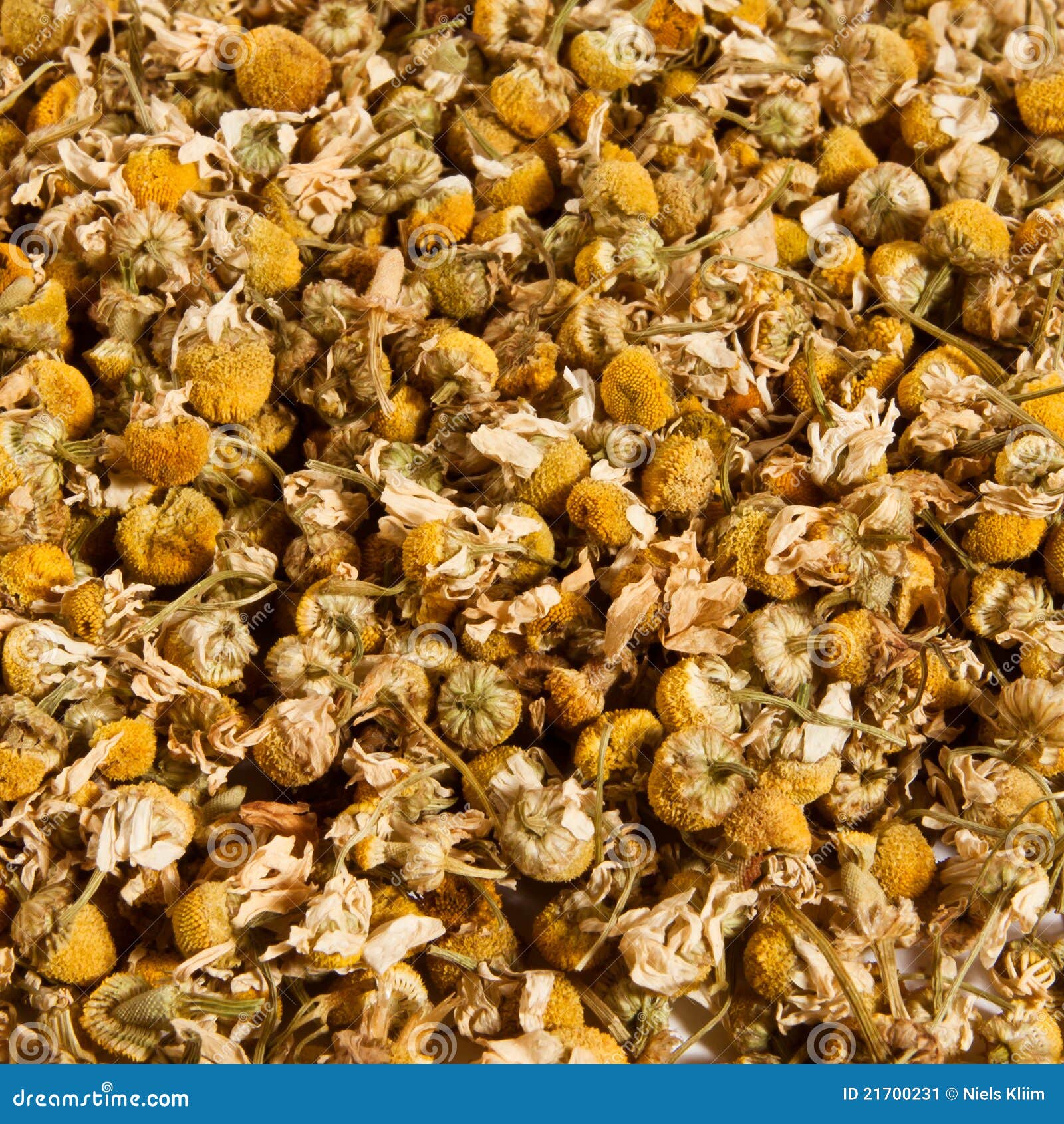 Pile of Dried Chamomile Flowers Stock Image - Image of detail, camomile ...