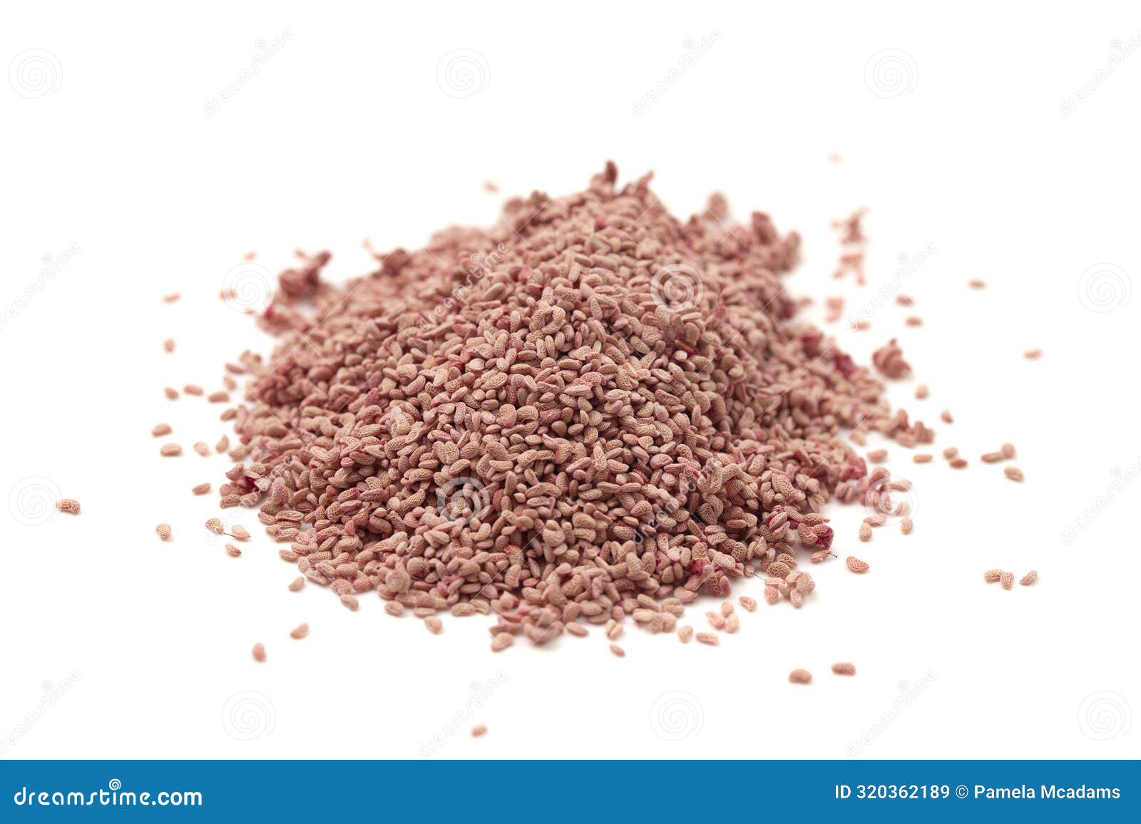 A Pile of Dried Red Raspberry Seeds Isolated on a White Background ...