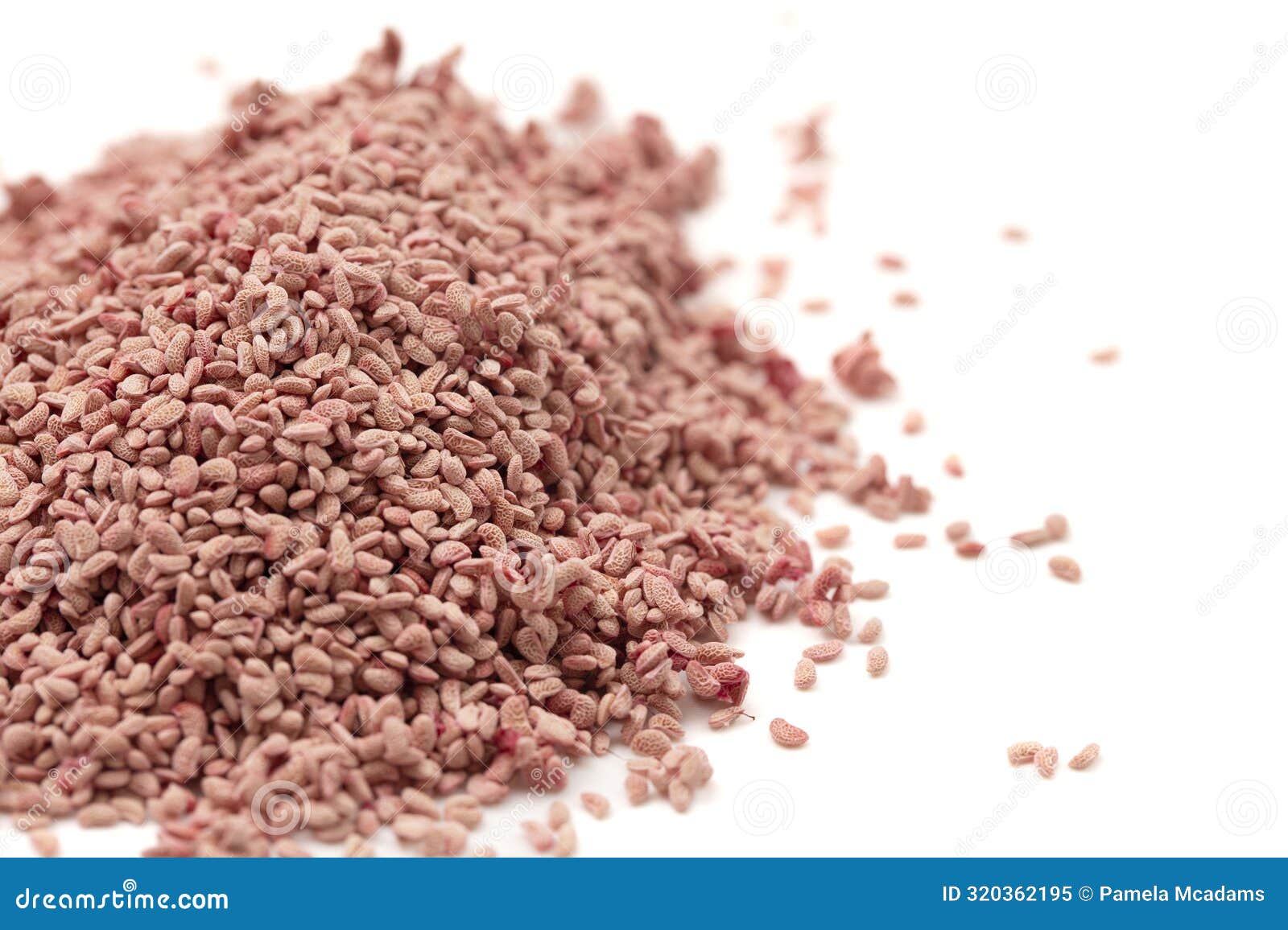 A Pile of Dried Red Raspberry Seeds Isolated on a White Background ...
