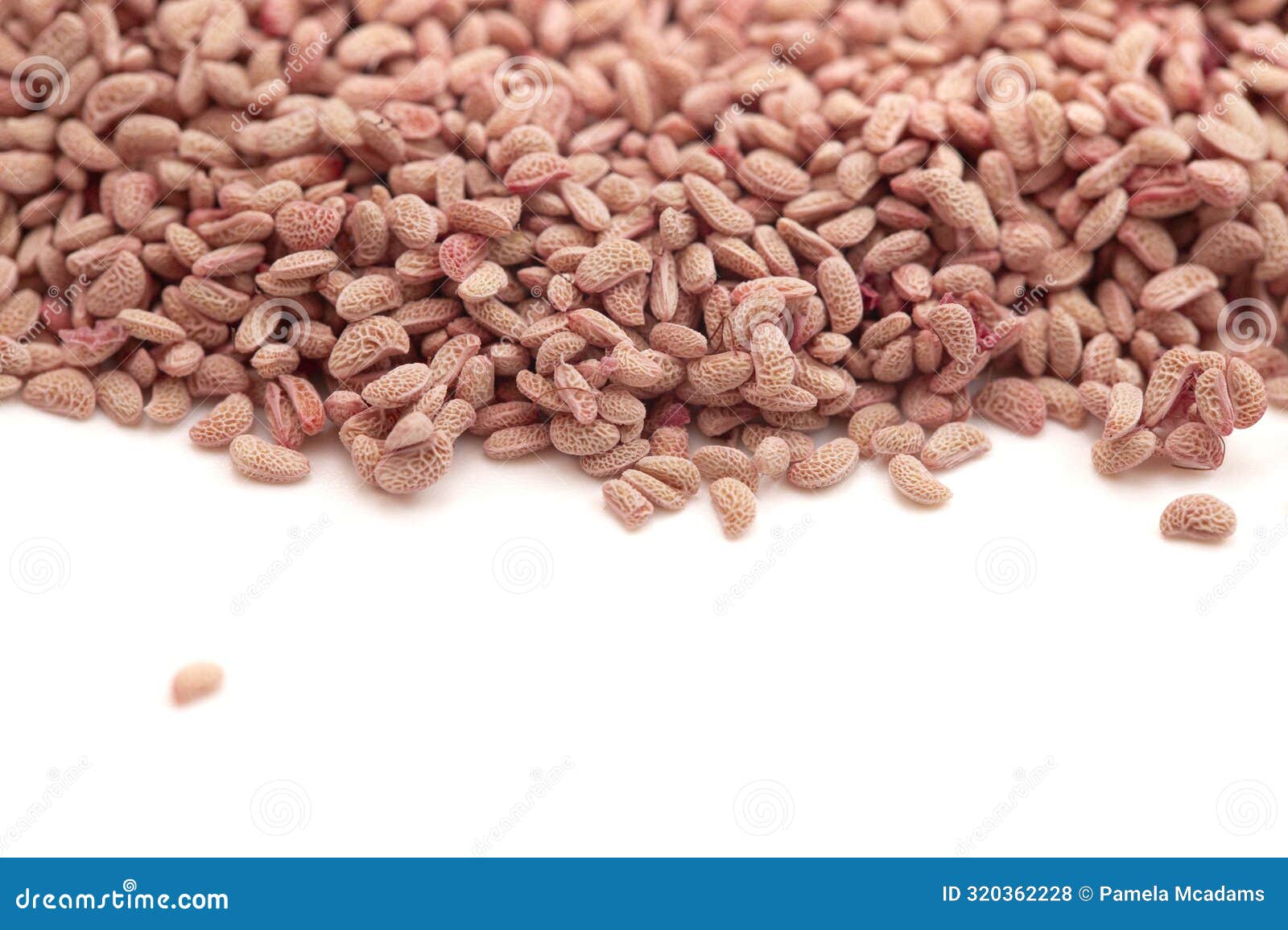 A Pile of Dried Red Raspberry Seeds Isolated on a White Background ...