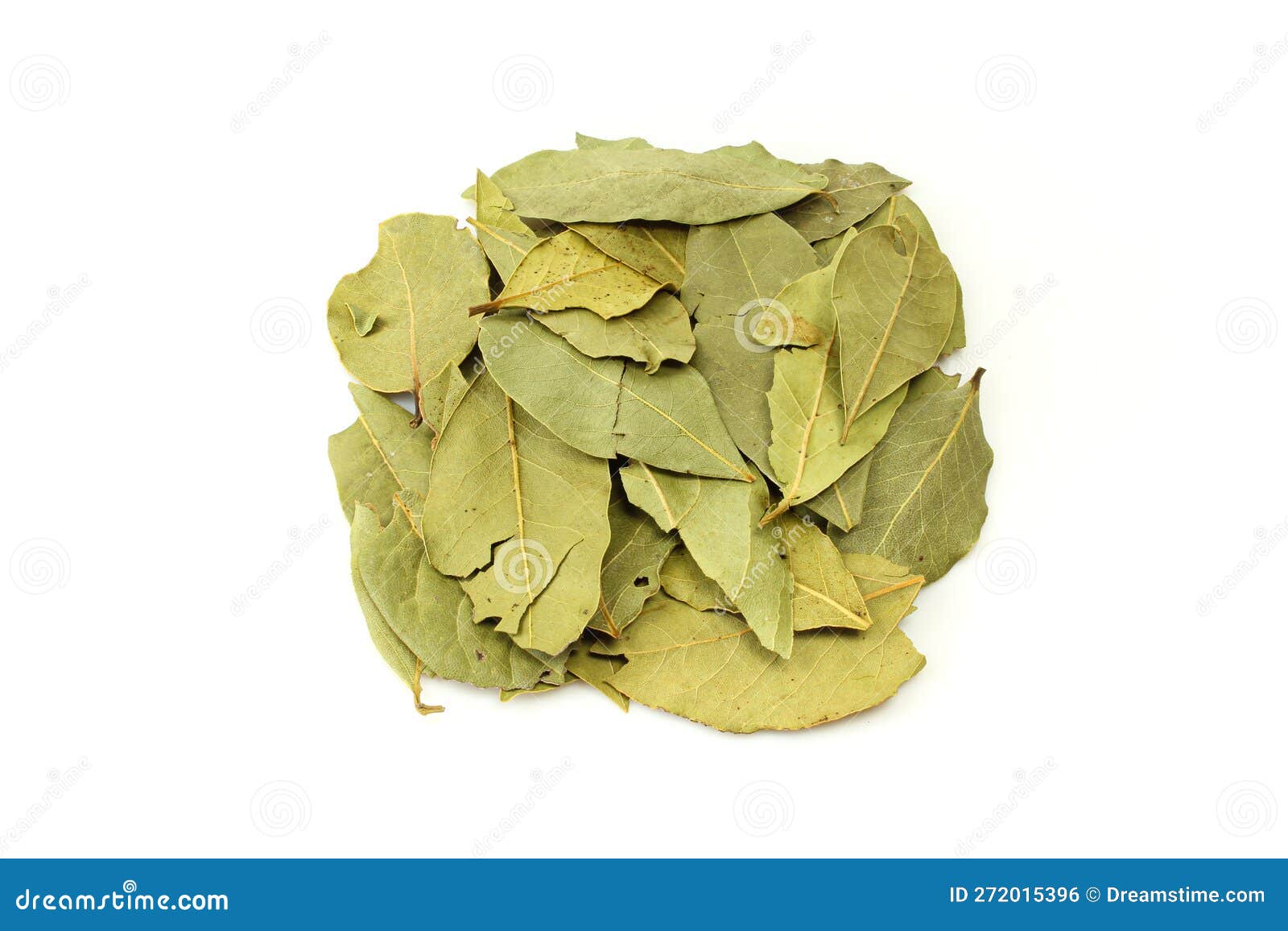 Pile of Dry Laurel Leaves Isolated on White Background Stock Photo ...